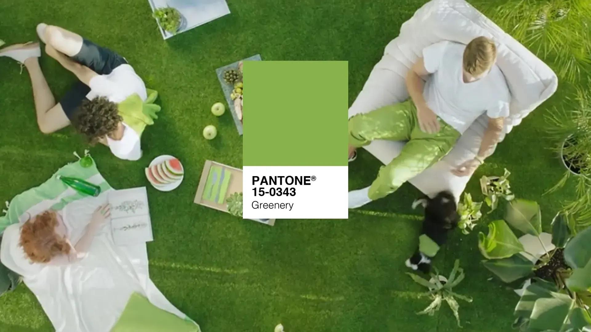 PANTONE: Greenery, color del año 2017 | Creatyum Media